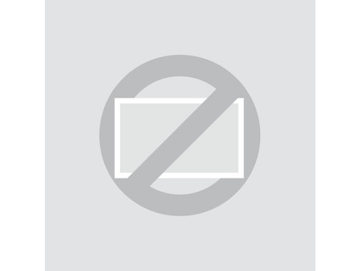 Monitor de 10 pulgadas | Beetronics